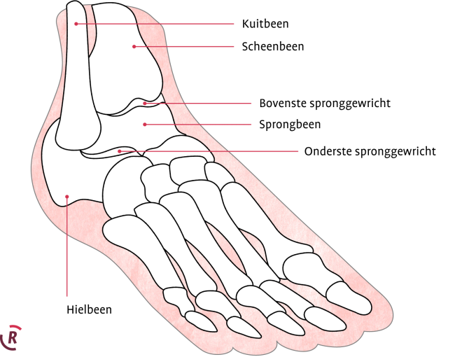 Operatie aan je enkel